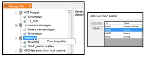 graphical bug or authorisation issue certain functionalities missing