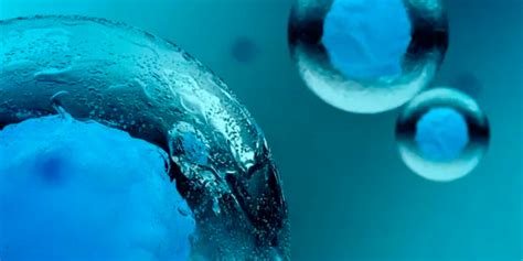 Measuring Intracellular Ph For Real Cell Physiology Understanding With
