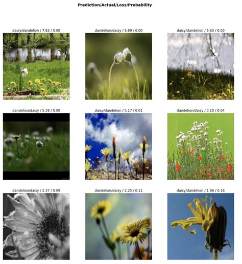 Use Resnet34 For Image Classification