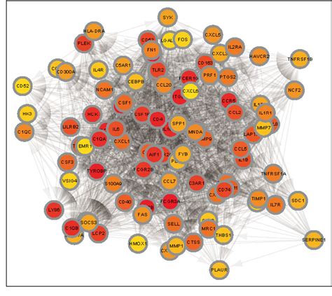 Figure 4 From A Novel Immune Cell Signature For Predicting Glioblastoma After Radiotherapy