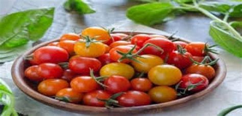 ဈေးနှုန်းကျဆင်းလာ၍ ဝယ်လိုအား များလာသော ပြည်ခရမ်းချဉ်သီးဈေးကွက် Consumer