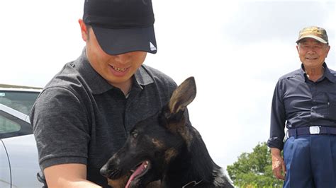 日本の安全を守る警察犬！一人前に育成する民間学校 Backstage（バックステージ） Cbcテレビ
