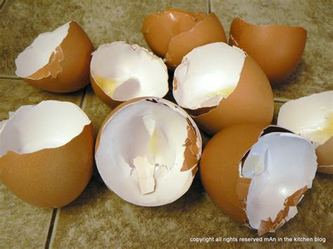 Man Eric In The Kitchen Recycling In The Kitchen Egg Shells