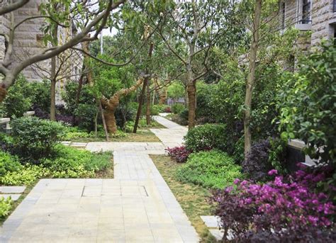 How Far From Sidewalk To Plant A Tree Guide To Planting Trees Near Sidewalks Gardening Know How