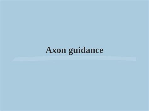 Ppt Axon Guidance §neuronal Growth Cones Respond To Both Contact