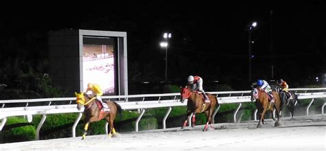 【地方競馬】コパノフィーリングが兵庫ゴールドカップ連覇 吉村智洋騎手は通算2900勝 競馬ニュース Netkeiba