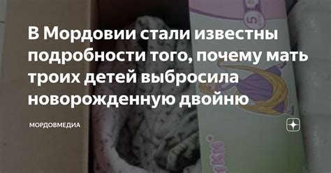В Мордовии стали известны подробности того почему мать троих детей выбросила новорожденную