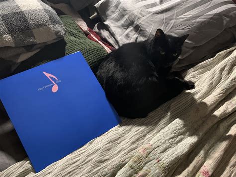 Hey Guys I Wanted To Show You My Cat Nelson Beat For Scale R