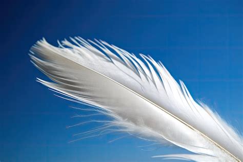 Premium Ai Image White Feather Blowing In The Wind Against Blue Sky
