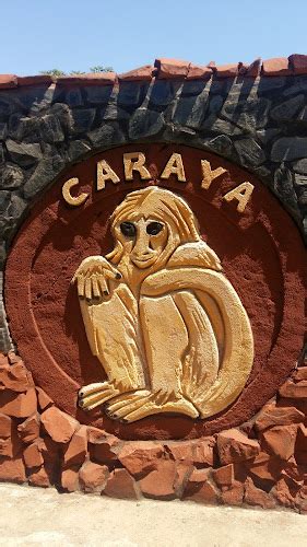 Cabañas Caraya 《 OPINIONES
