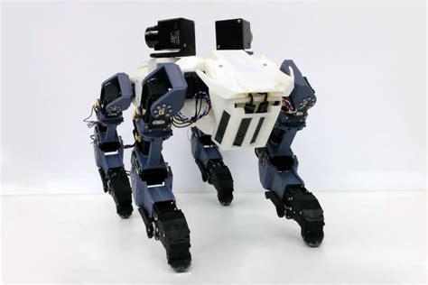 A Quadruped Robot That Can Climb Vertical Ladders Autonomously