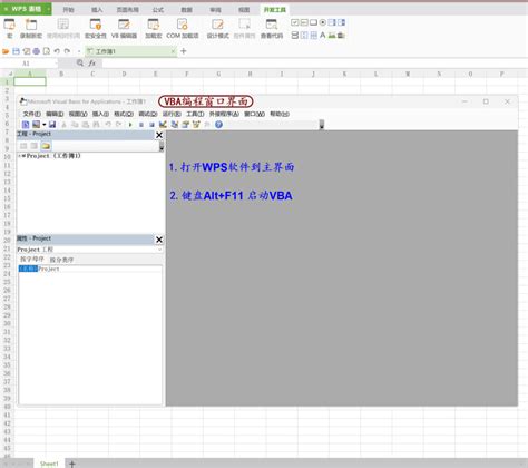 【1】wpsvba简介【wpsvba轻办公】 Vb6pro