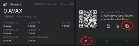 Avalanche Subnets Tutorial Series Run Local Avalanche Node