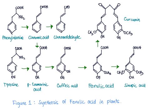 Ferulic Acid