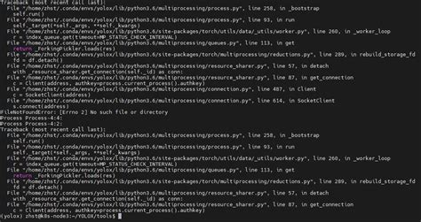 训练过程中出错请教原因 Issue Megvii BaseDetection YOLOX GitHub