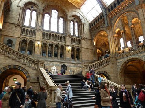 Museo Di Storia Naturale Londra Aggiornato 2018 Tutto Quello Che C