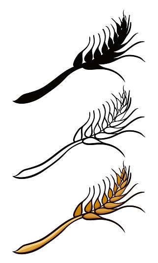 실루엣 윤곽선 및 만화 스타일 벡터 일러스트 레이 션의 시리얼 귀 3가지 개체에 대한 스톡 벡터 아트 및 기타 이미지 3가지 개체 개체 그룹 곡초류 Istock