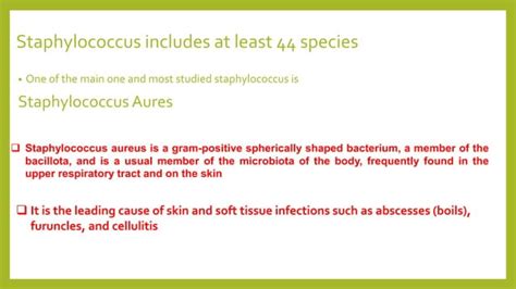 Bacteria L Classificationspericalpptx