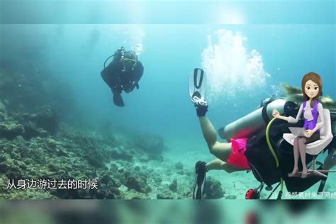 穿上这件3000元的，水下隐身衣，亲鲨鱼都没事！隐身衣鲨鱼