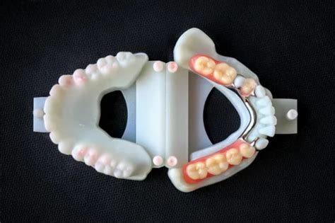 D Max Dental Lab