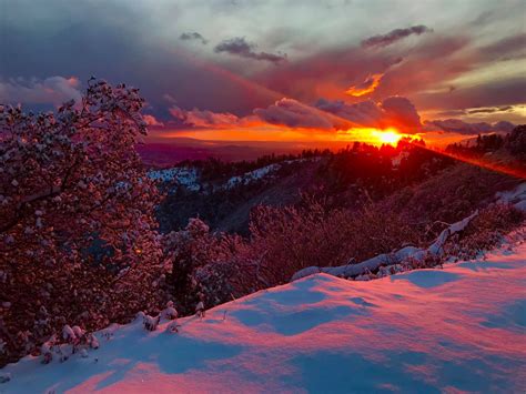 Rim Nordic Xc Ski Area California Ski Industry Association