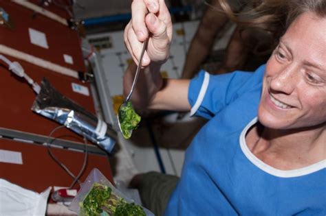 Astronautas Como Eles Vivem No Espaço Tecmundo
