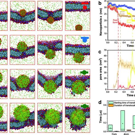 The Nanoparticles Cell Membrane Interface Size Surface Charge Pka And Download Scientific