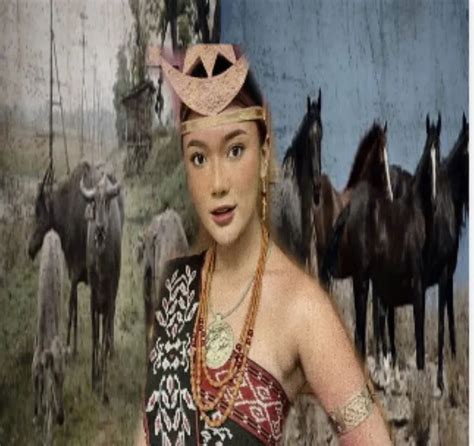 Sumba Termasuk Ini 5 Daerah Dengan Belis Termahal Di Ntt Oke Flores