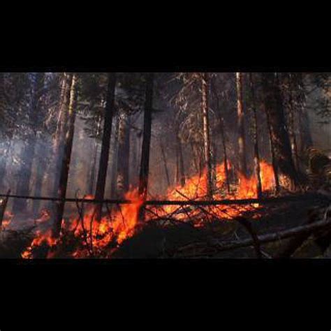 Fire Smoker Object Detection Dataset And Pre Trained Model By Posco Ai Big Data Academy