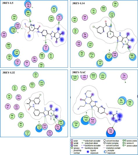 2d Visualization Of The Binding Modes Of The Best Compounds L5 L14