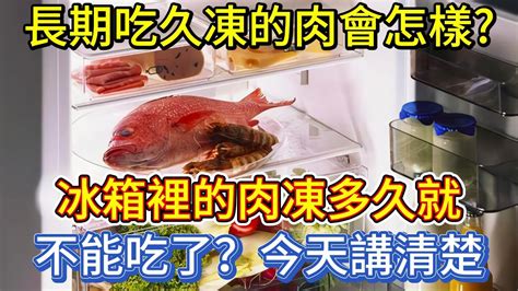 長期吃久凍的肉會怎樣？冰箱裡的肉凍多久就不能吃了？今天講清楚 Youtube
