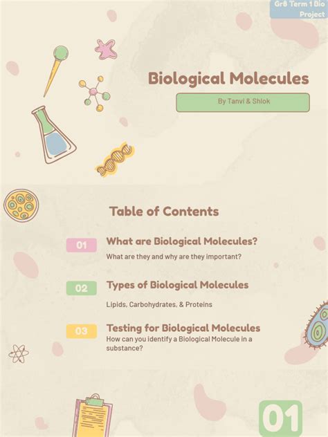 Biological Molecules Biology T1 Project Download Free Pdf