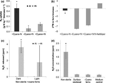 Is Nitrogen N Cycling Inside Azolla Filiculoides A Download