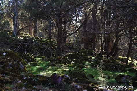 ДАЛИ ЗНАЕТЕ Колку острови има во Македонија