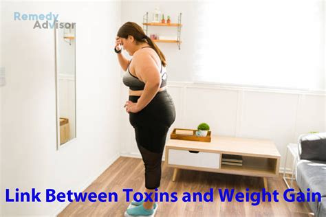 The Link Between Toxins And Weight Gain What You Need To Know Remedy Advisor