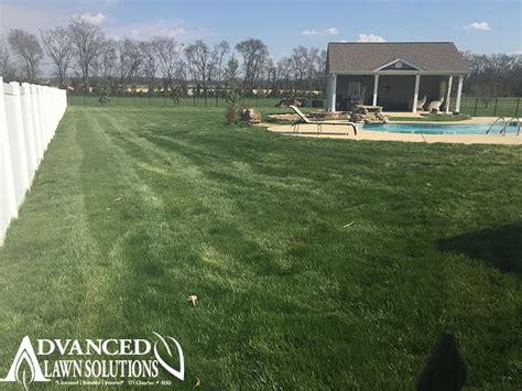 Grass Seeding And Aeration Advanced Lawn Solutions Murfreesboro
