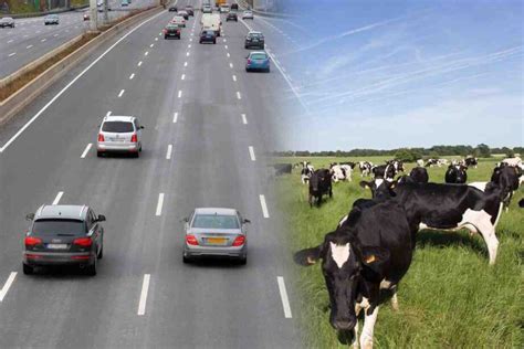 Quest Ce Qui Pollue Le Plus Transport Lecologie De Demain