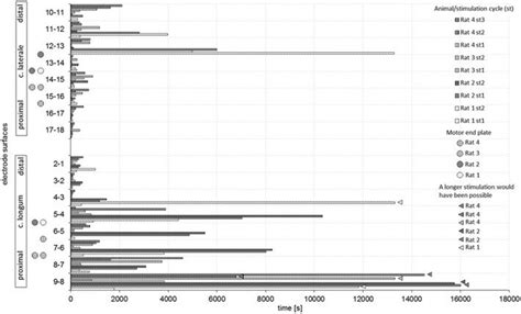 Representation Of Stimulation Duration In Relation To Position Of Download Scientific Diagram