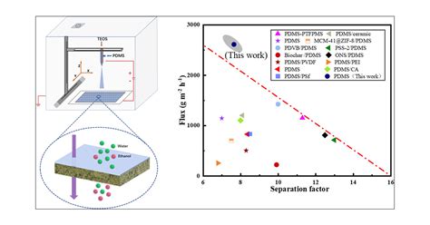 Thin Film Composite Tfc Polydimethylsiloxane Pdms Membrane With