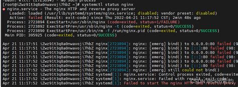 Failed To Start The Nginx And Reverse Proxy Server Csdn博客