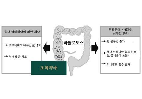 듀락칸이지시럽 15m L 안전한 변비약 복용법 효과 부작용 Ft 간성뇌증 네이버 블로그