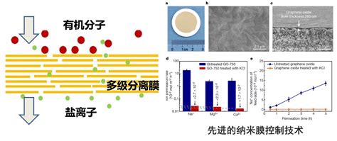 “有机复合污染控制”团队 上海大学环境与化学工程学院