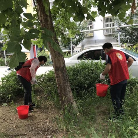 泰安分公司常态化开展志愿服务助力文明城市创建工作 山东邮政分公司