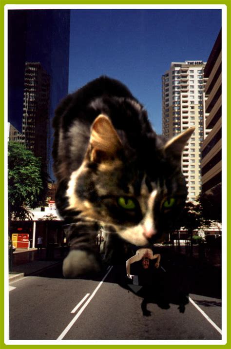Kitten Kong By R0b0c On Deviantart