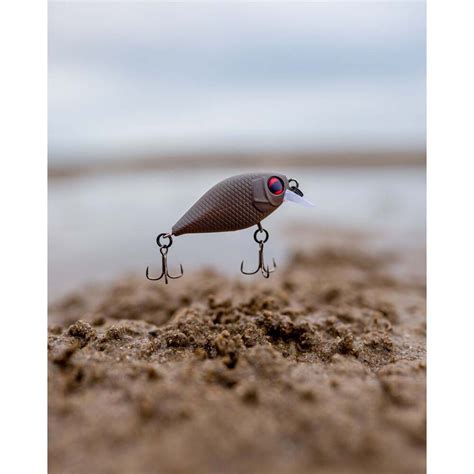 Pro Lure Crank S Hardbody Lure 36mm Ghost Shrimp Bcf