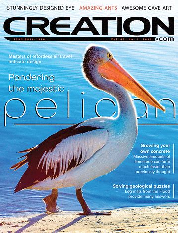 Creation 2023 Volume 45 Issue 1