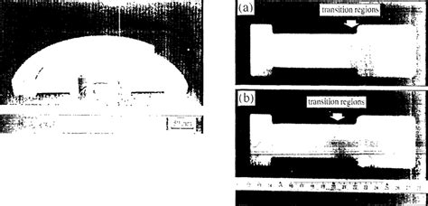 Appearance And Cross Sectional Macrostructure Of The Dual Structure