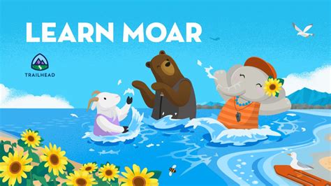 Kiran Vijayanarasimhan On Linkedin 🌊 Have You Explored The New Summer