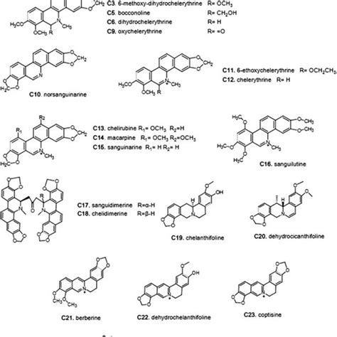 The Isoquinoline Alkaloids Of Macleaya Cordata Download Scientific