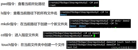 Linux的基本指令 一 Csdn博客